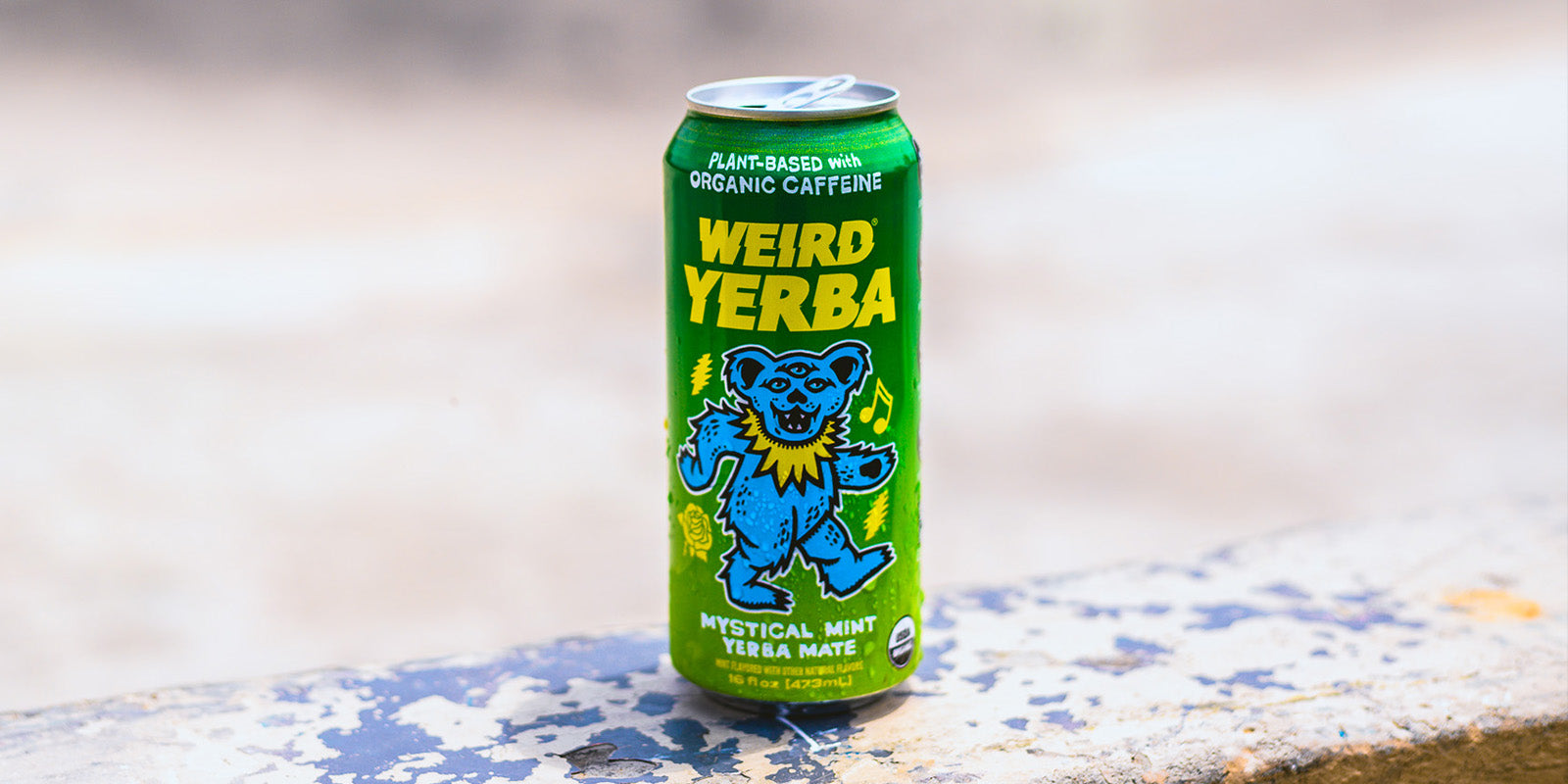 Yerba Mate 101: Answers to the Most Common Questions – Weird Beverages