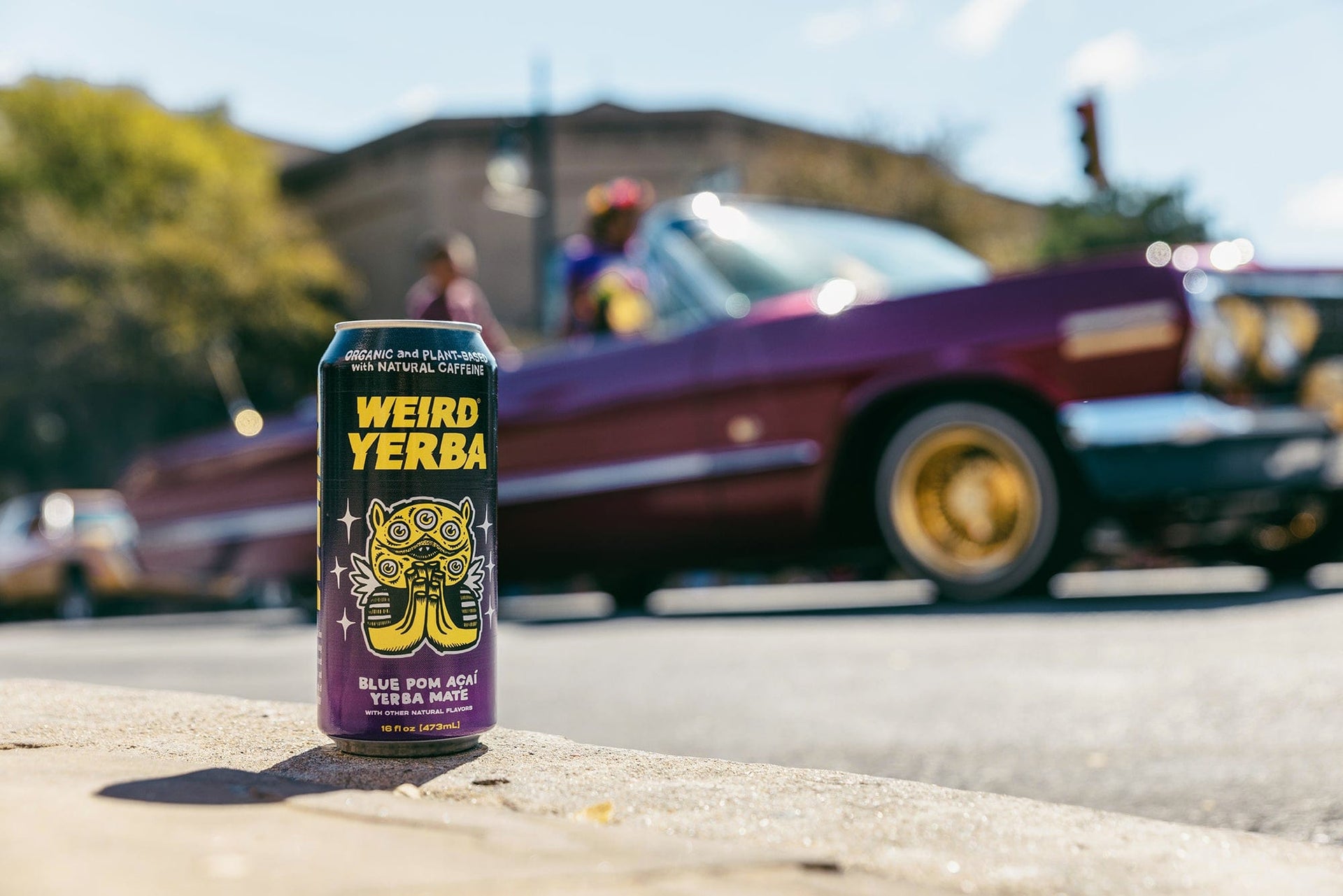 DRINK WEIRD - Organic Blue Pomegranate Acai Yerba Mate | 16oz 12 Pack – Weird Beverages